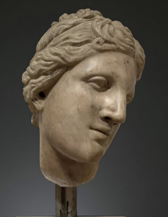 Grande Tête en Marbre de la Vénus de Médicis, Italie, XVIIe siècle ...