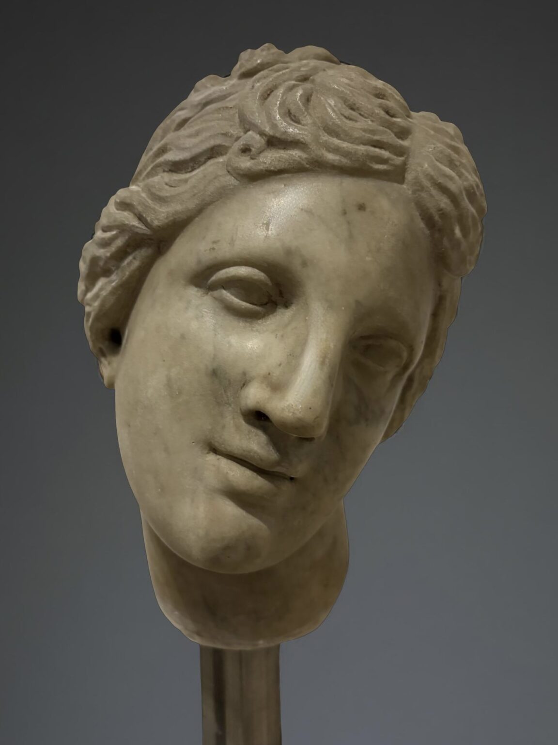 Grande Tête en Marbre de la Vénus de Médicis, Italie, XVIIe siècle ...